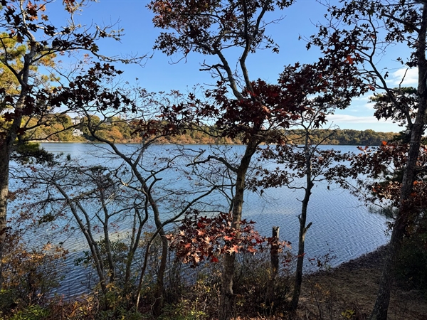 Autumn's Embrace: A Tranquil Beach Walk on Cape Cod > Cape Cod Beach Guide
